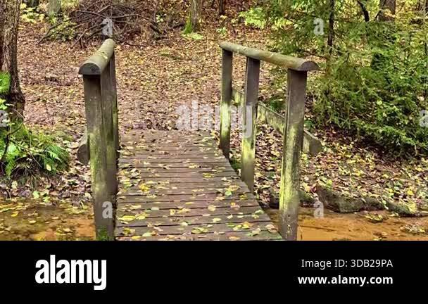 Mossy Wooden Bridge Over Creek Hiker Crossing Planks, Rustic Railing ...