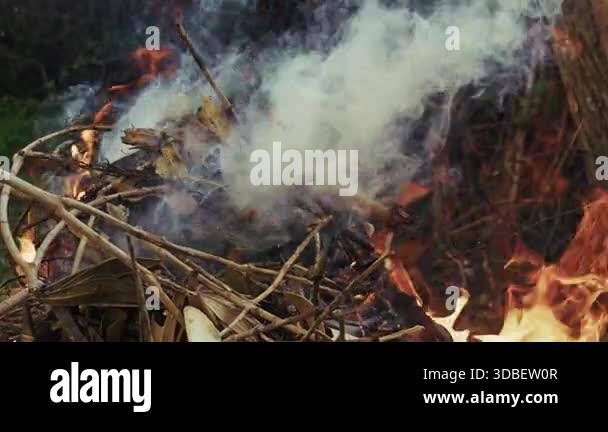 Wood Burning Fire and Smoke Stock Video Footage - Alamy