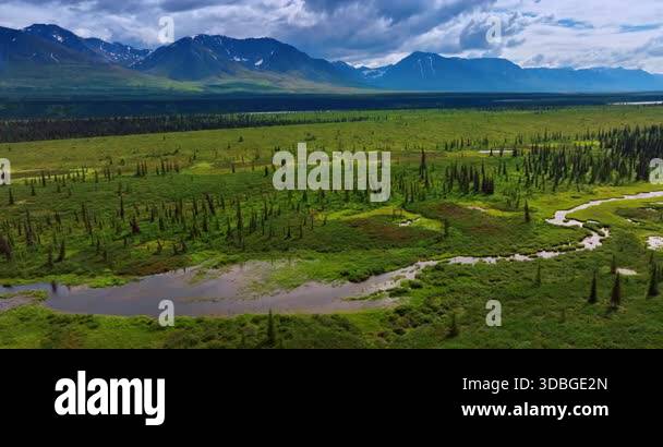 Alaskan Taiga Forest, Winding Creek, and Snow-Capped Mountains. This ...