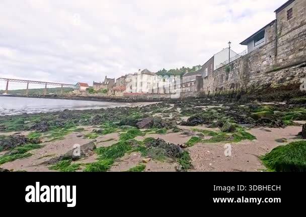 Rocky beach with seaweed and coastal buildings Stock Video Footage - Alamy