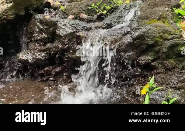 Water Erosion Concept. Fresh Mountain Stream Flowing Over Sediment ...