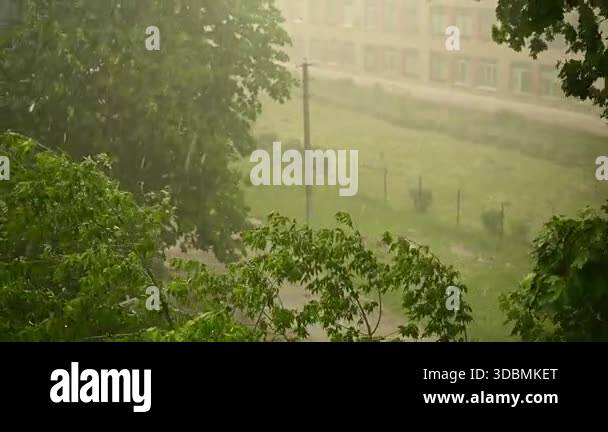 violent hail storm pounds city, forcefully knocking leaves from the ...