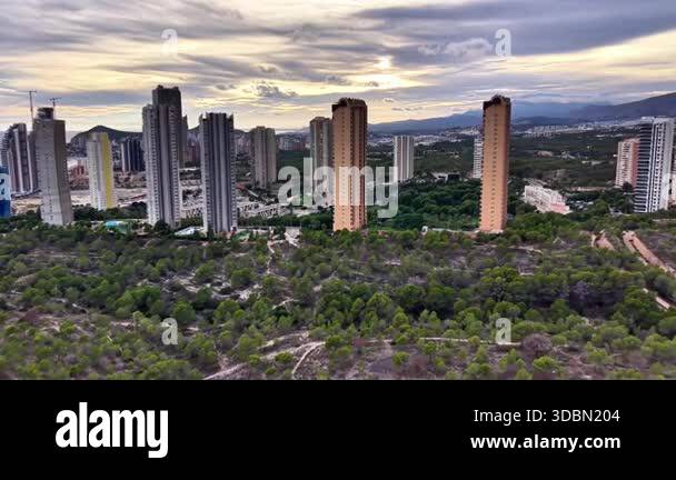 Pine towers Stock Videos & Footage - HD and 4K Video Clips - Alamy