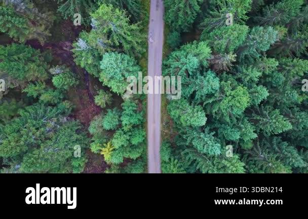 Trail alignment Stock Videos & Footage - HD and 4K Video Clips - Alamy