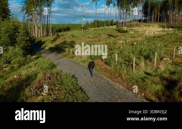 Traveller walking uphill on gravel forest road in sunny weather ...