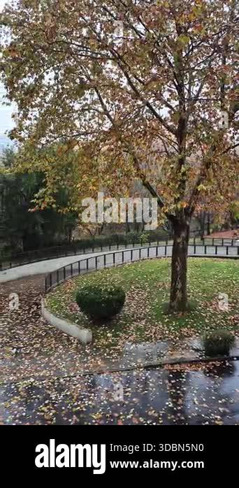 A quiet park pathway curves through autumn trees on a rainy day, with ...