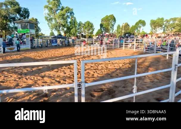 Rodeo event with bull riding in Australia Stock Video Footage - Alamy