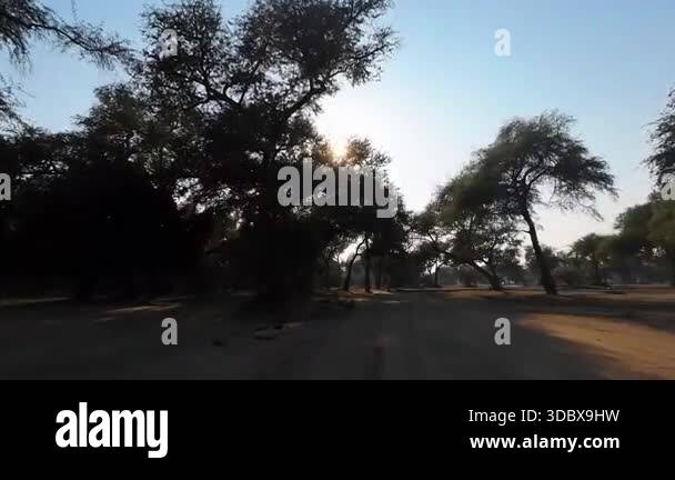 African forest landscape sunset Stock Videos & Footage - HD and 4K ...