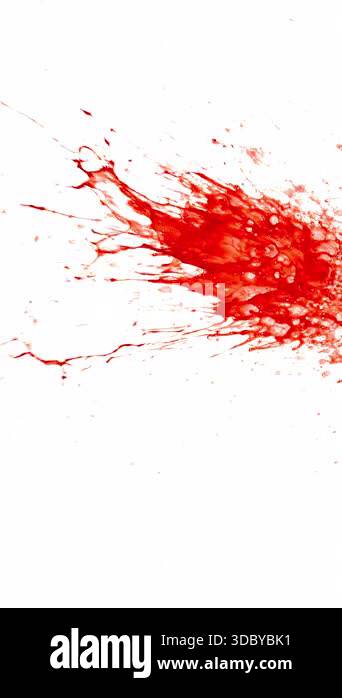 Blood Splash in Super Slow Motion . Isolated on White Background . High ...