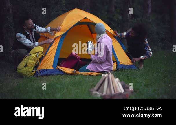 Campsite clearing in woods Stock Videos & Footage - HD and 4K Video ...