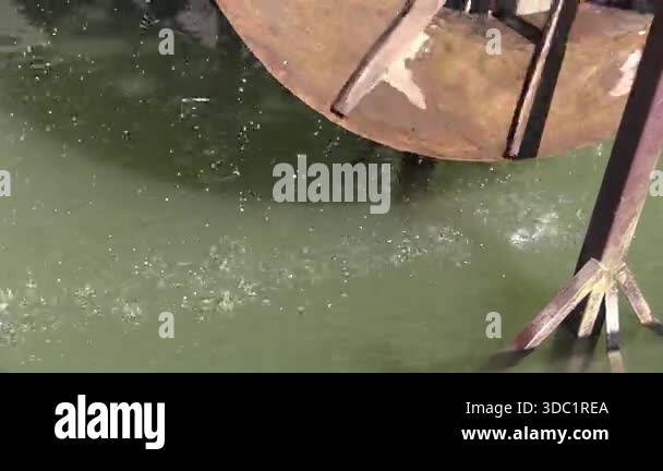 Discovering the beauty of nature as a paddle wheel moves gracefully ...
