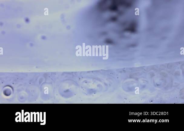 Car washing process, foam draining on the ground off the car, top view ...