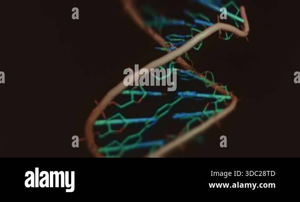 Model of a DNA double helix Stock Video Footage - Alamy