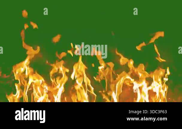 Realistic fire flames green screen Stock Video Footage - Alamy