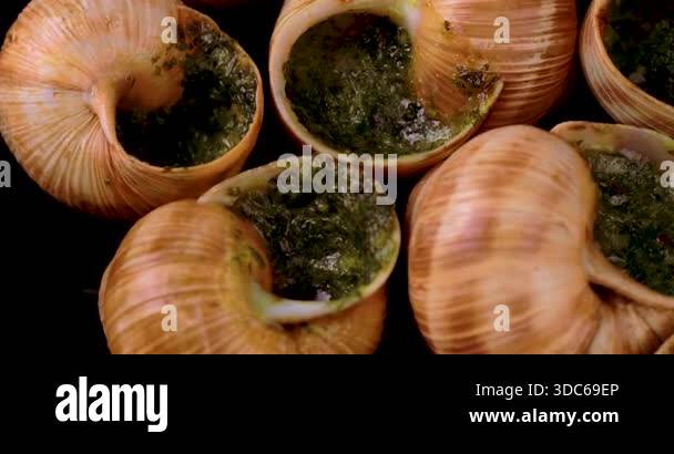 Close-up of traditional escargot in shells rotating on a plate, filled ...