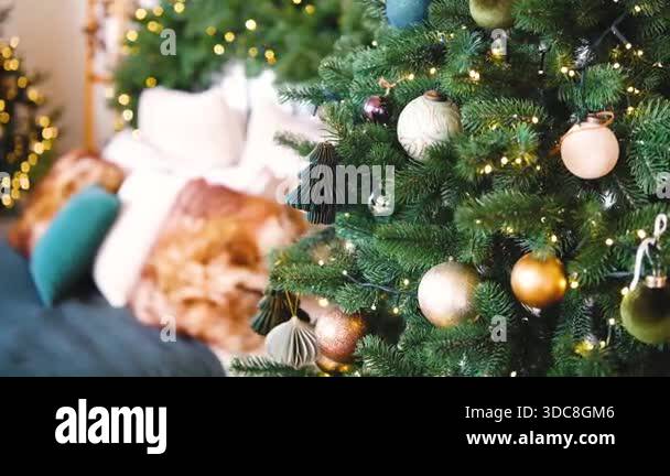 Festive evergreen tree with warm lights and decorated ornaments indoors ...