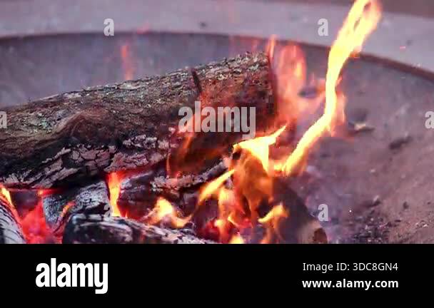 Fire flames inside trunk Stock Videos & Footage - HD and 4K Video Clips ...