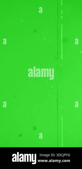 Vertical Old Film Grain and Dust Overlay on Green Screen Loop Stock ...
