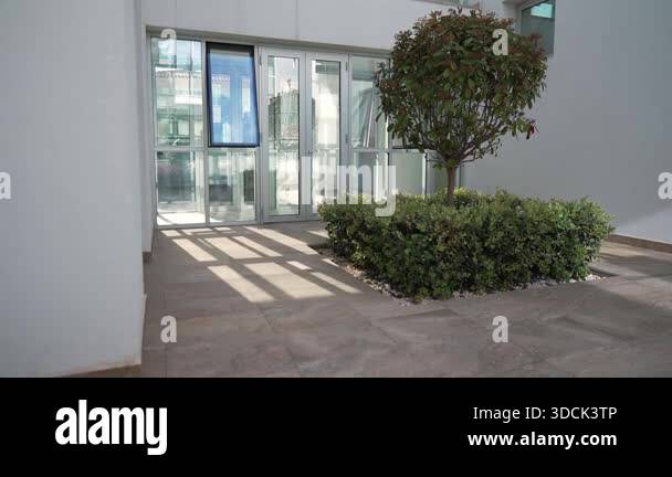 Sunlit glass entrance with trimmed topiary and low hedge framing modern ...