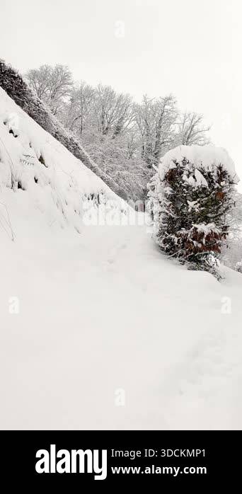Vertical Slow Motion Photographer Walking On Deep Snowy Path Stock ...
