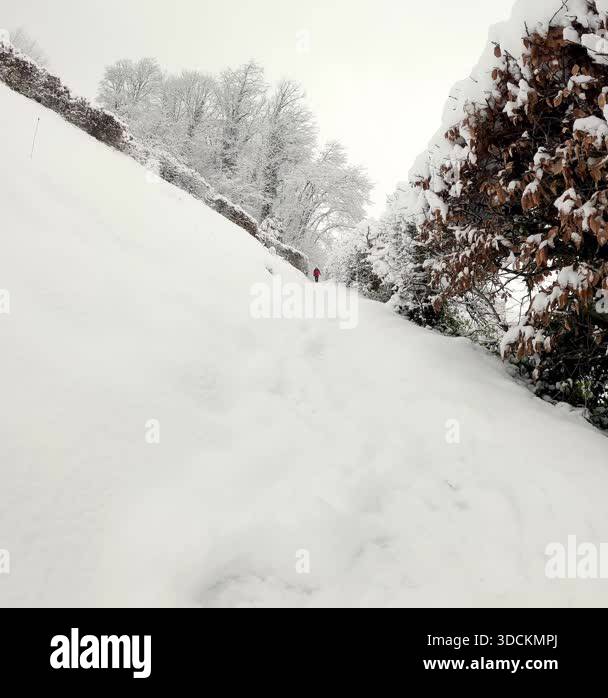Solitary path in snow Stock Videos & Footage - HD and 4K Video Clips ...