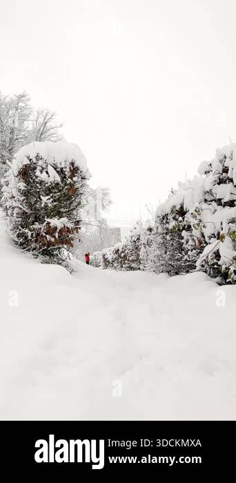 Vertical Slow Motion Shot Of Man Walking Uphill Through Deep Snow ...