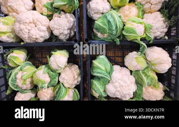 Fresh organic cauliflower heads on display in a supermarket produce ...