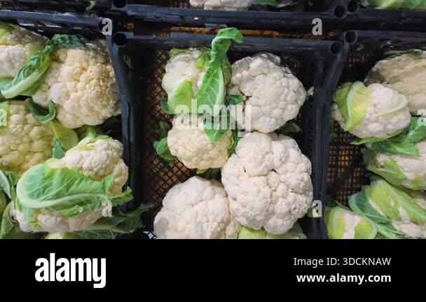Fresh organic cauliflower heads on display in a supermarket produce ...