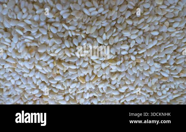 Sesame vector set Stock Videos & Footage - HD and 4K Video Clips - Alamy
