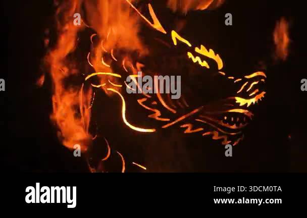 Burning dragon head, slow motion flames in the night, dragon silhouette ...