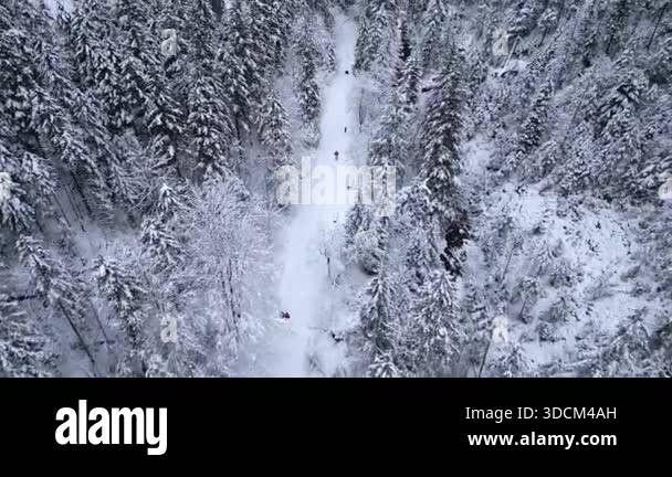 Aerial view of snowy forest trail with people walking along winter path ...