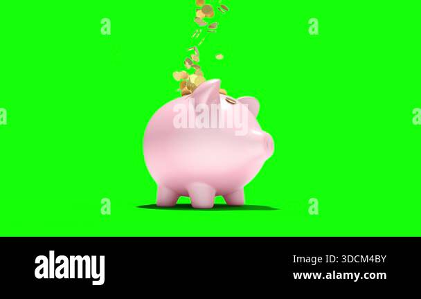 Golden coins falling into pink piggy bank on green screen Stock Video ...