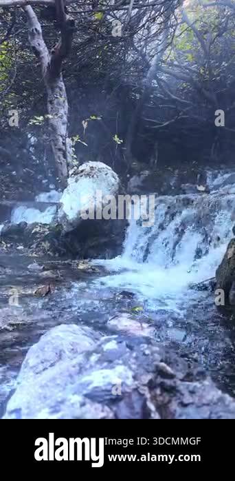 Small waterfall among wet autumn leaves, cool tones and humid air. A ...