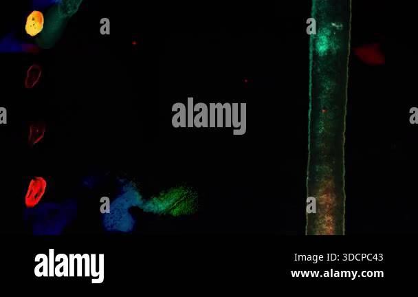 Ink drip and stain grunge animation. High quality 4k footage Stock ...