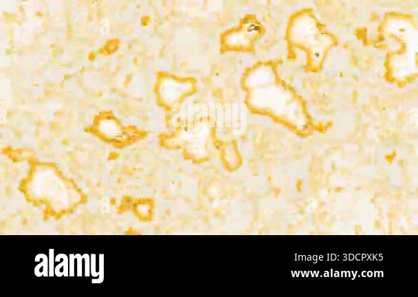 Colorful, beautiful patterns move rhythmically and pulsating Stock ...