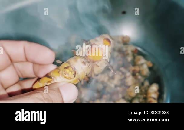 Turmeric curing process Stock Videos & Footage - HD and 4K Video Clips ...