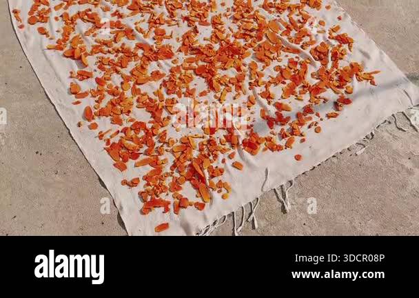Sun curing Stock Videos & Footage - HD and 4K Video Clips - Alamy