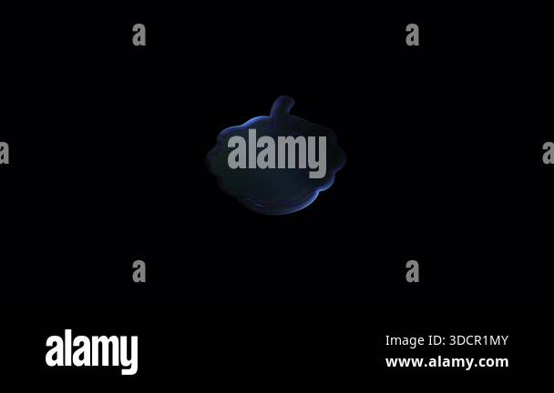 Holographic acorn rotating and changing shape on a black background ...