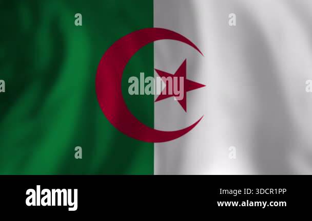 Algerian national flag waving dynamically, presenting multiple shots ...