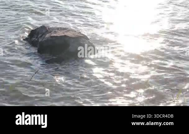 Beautiful Sun Sparkles and Ripples on Moving Lake Water Background ...