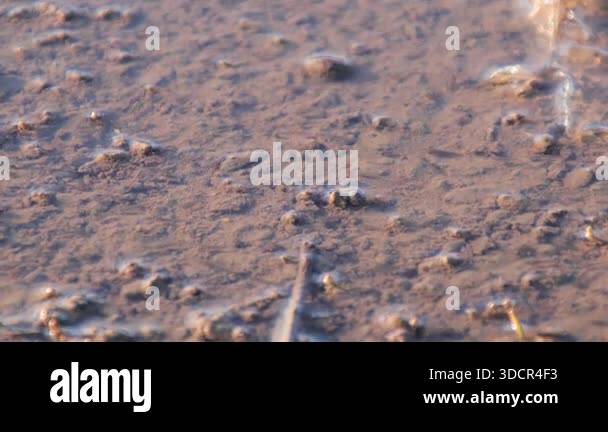 Detailed close-up view of river bottom sediment and murky water Stock ...