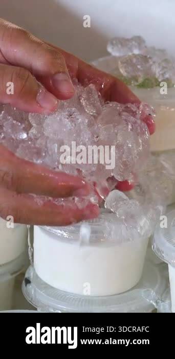cooling yoghurts Ice for cocktails Hand holding Ice scoop in container ...