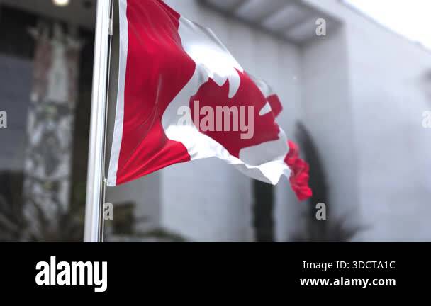 Canada Flag in the Wind Waving Official Flag 4K Stock Video Footage - Alamy