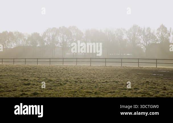 Foggy rural scene with grassy field, wooden fence, leafless trees, and ...
