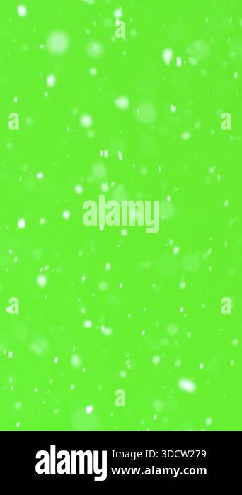 Vertical footage of real snow falling peacefully on a green screen ...