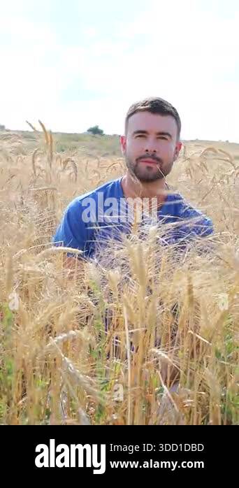 Video of a young gorgeous natural man sitting in a wheat field Stock ...