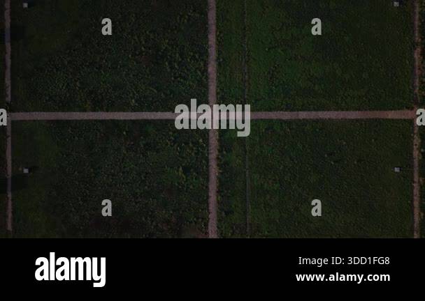 An aerial perspective shows multiple rectangular grass fields divided ...