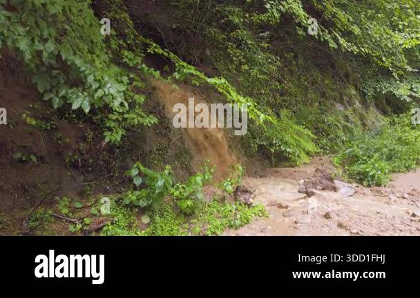 A sudden downpour transforms a hillside into a cascading waterfall ...