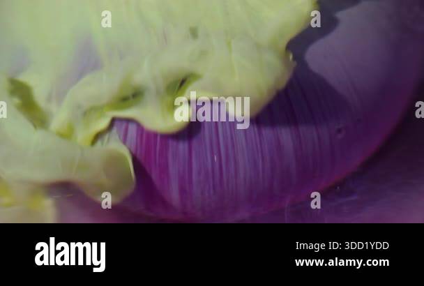 Pigment fluid drip. Defocused swirl. Yellow liquid paint pouring on ...