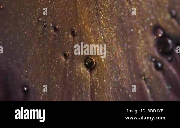 Shimmer spill. Paint water. Defocused yellow golden purple color bubble ...